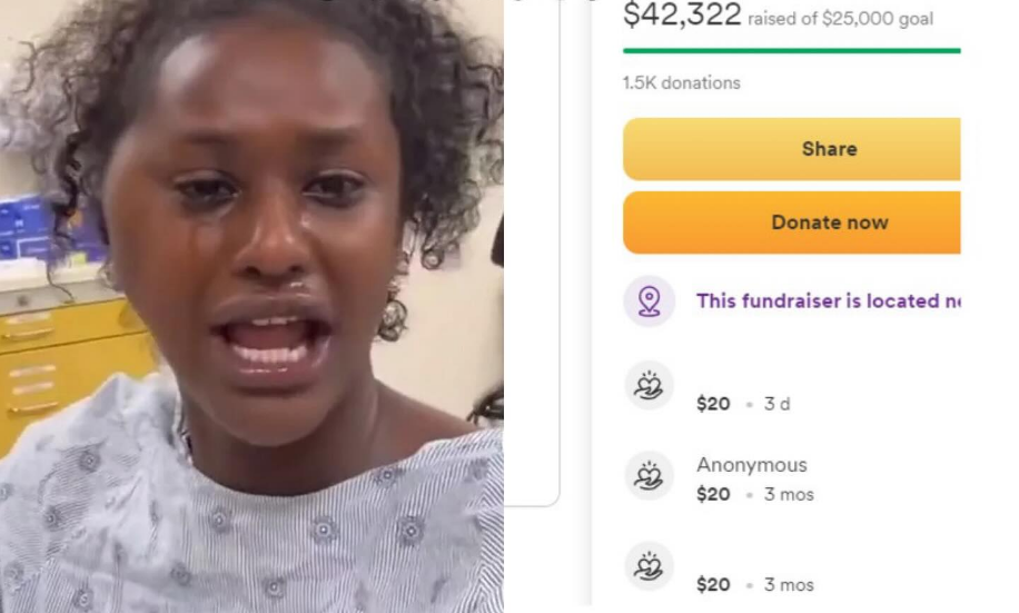 Unraveling the ‘Brick Lady’ Saga: Houston Woman Faces Fraud Charges ...